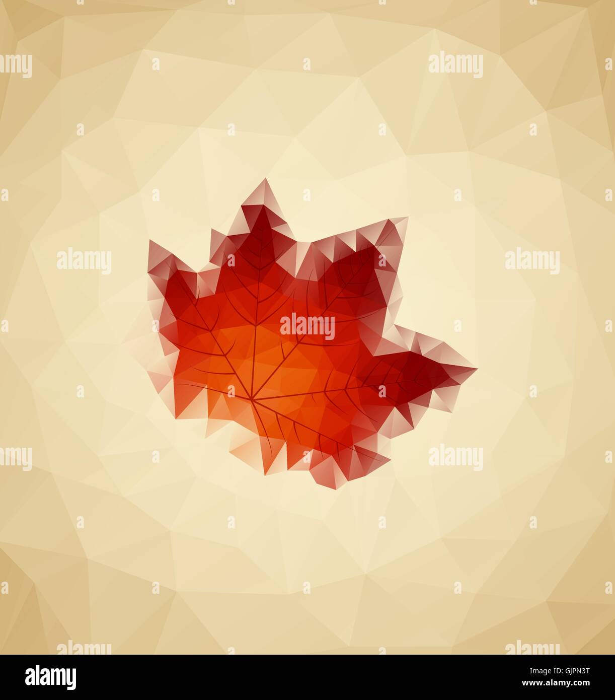 Striped maple Stock Vector Images - Alamy