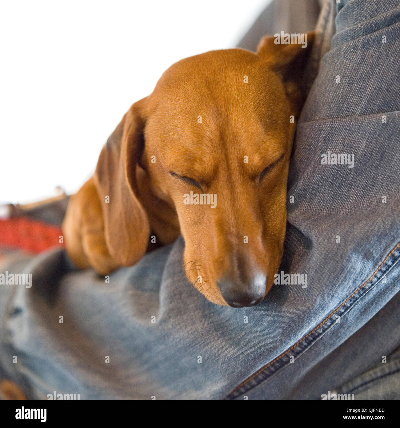 Sleeping in arms hi-res stock photography and images - Alamy