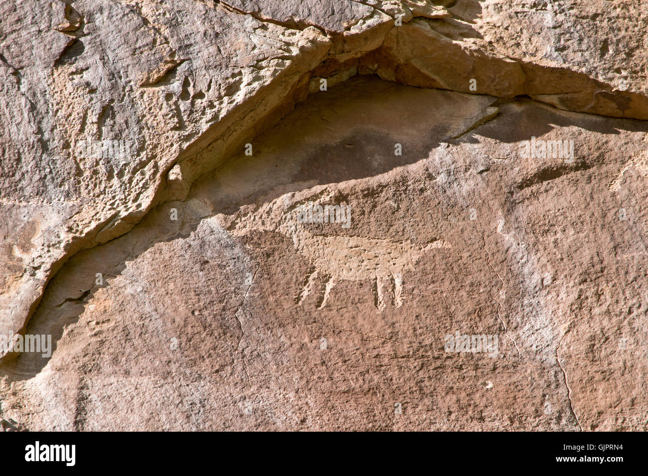 Petroglyphs etched in stone, Utah, North America Stock Photo - Alamy