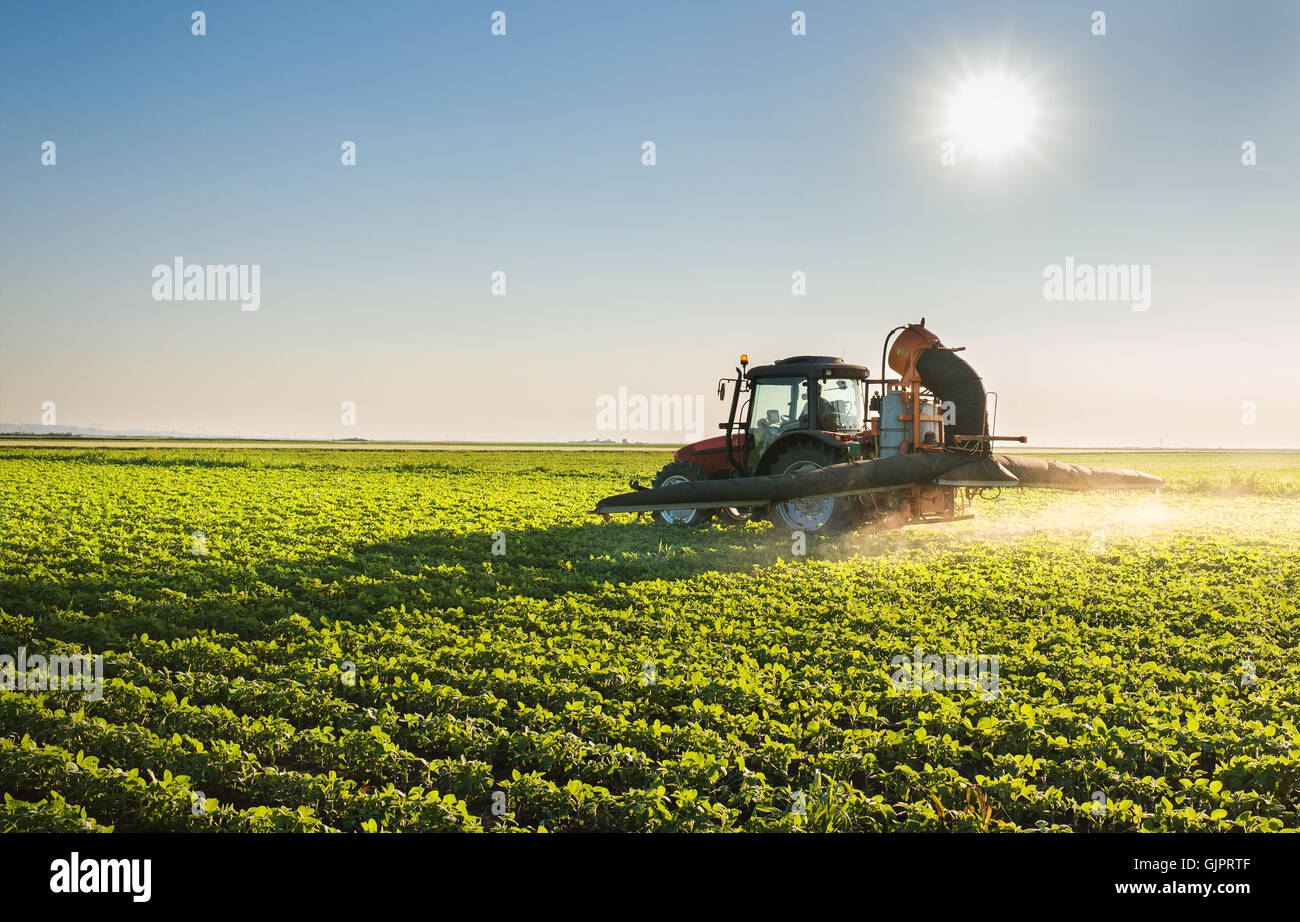 Tractor spraying soybean field Stock Photo - Alamy