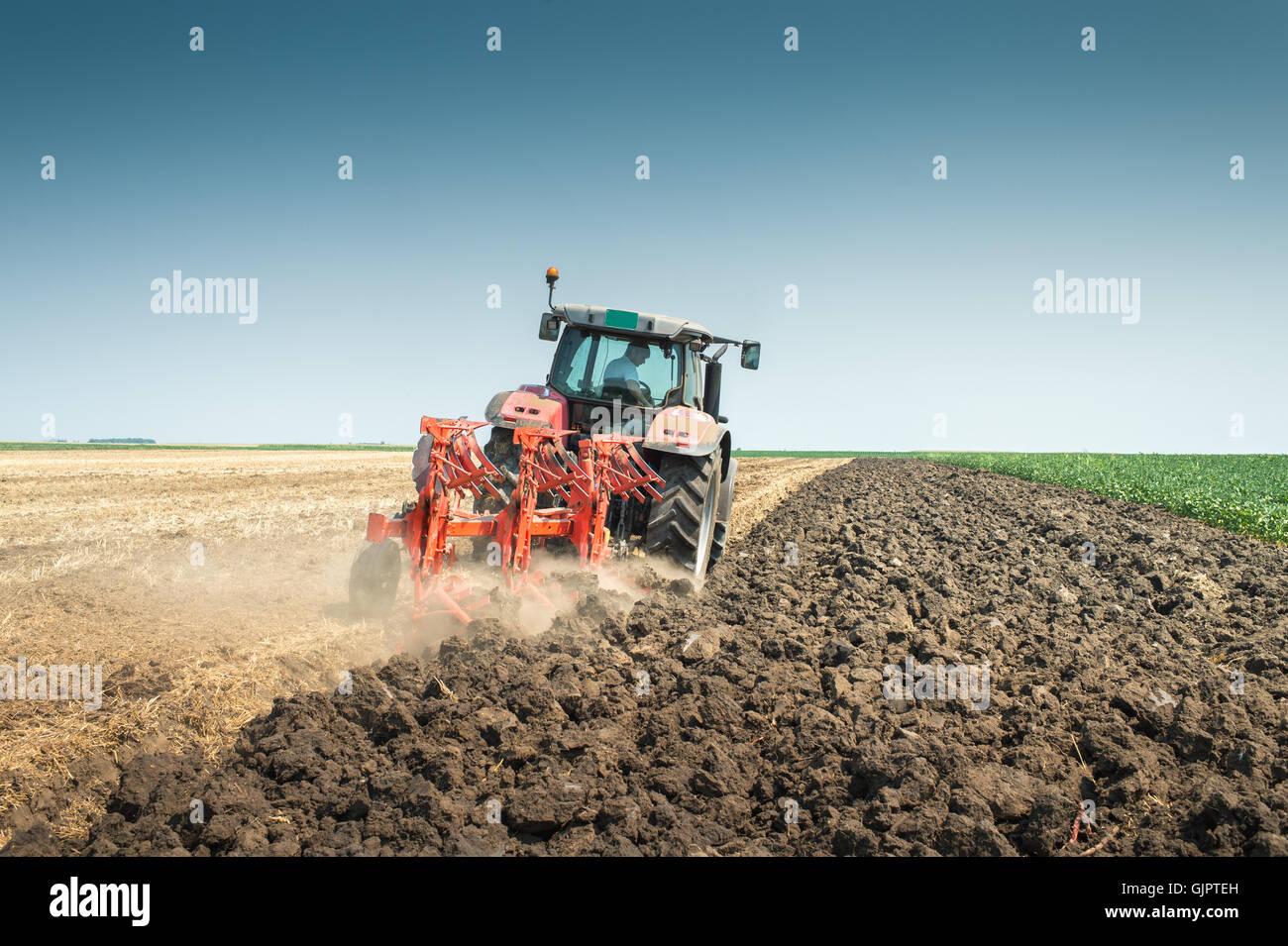 Tractor plowing the stubble field Stock Photo - Alamy