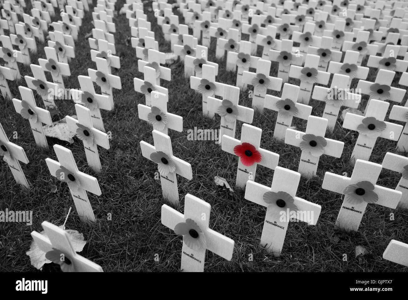 Lines Of White Crosses High Resolution Stock Photography and Images - Alamy