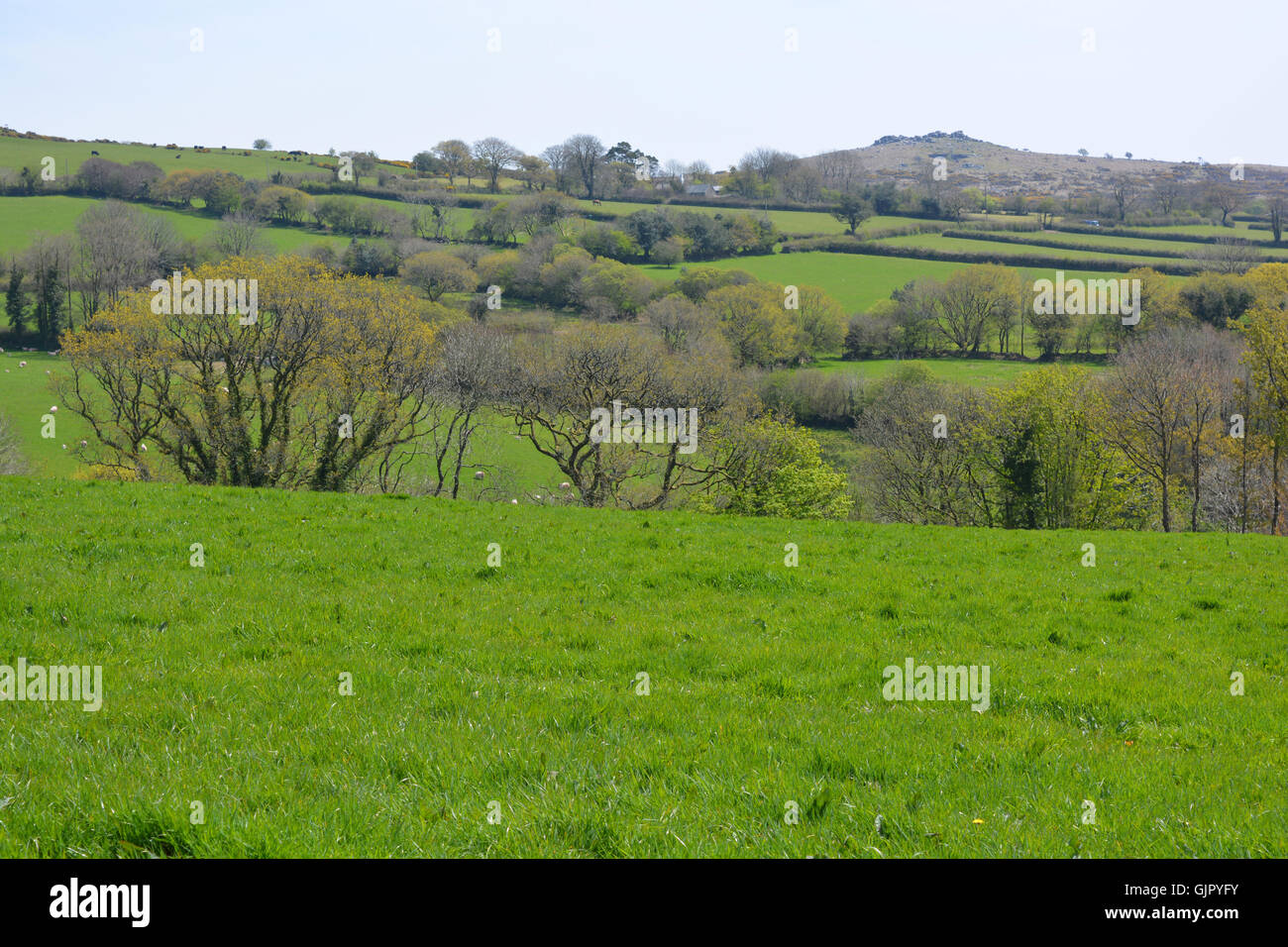 English springtime landscape rolling hi-res stock photography and ...