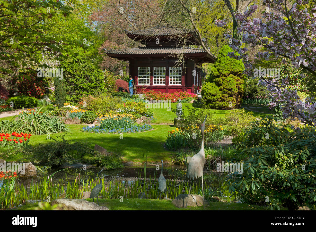 Deutschland, NRW, Leverkusen, Japanischer Garten in der Carl-Duisberg ...