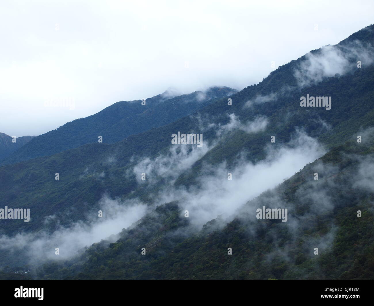 The Inca Trail Cloud Forest Stock Photo - Alamy