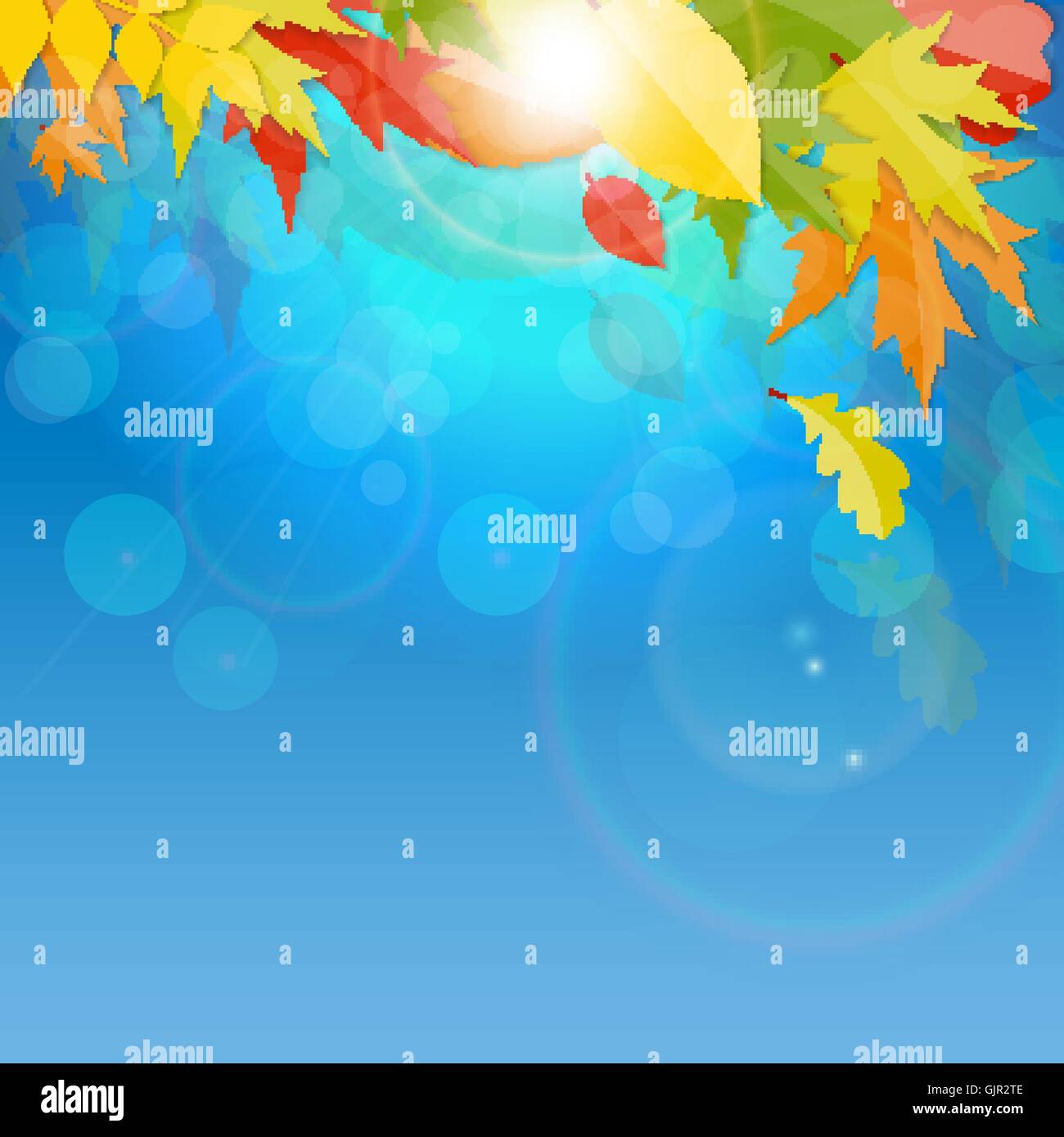 Shiny Autumn Natural Leaves Background. Vector Illustration Stock ...