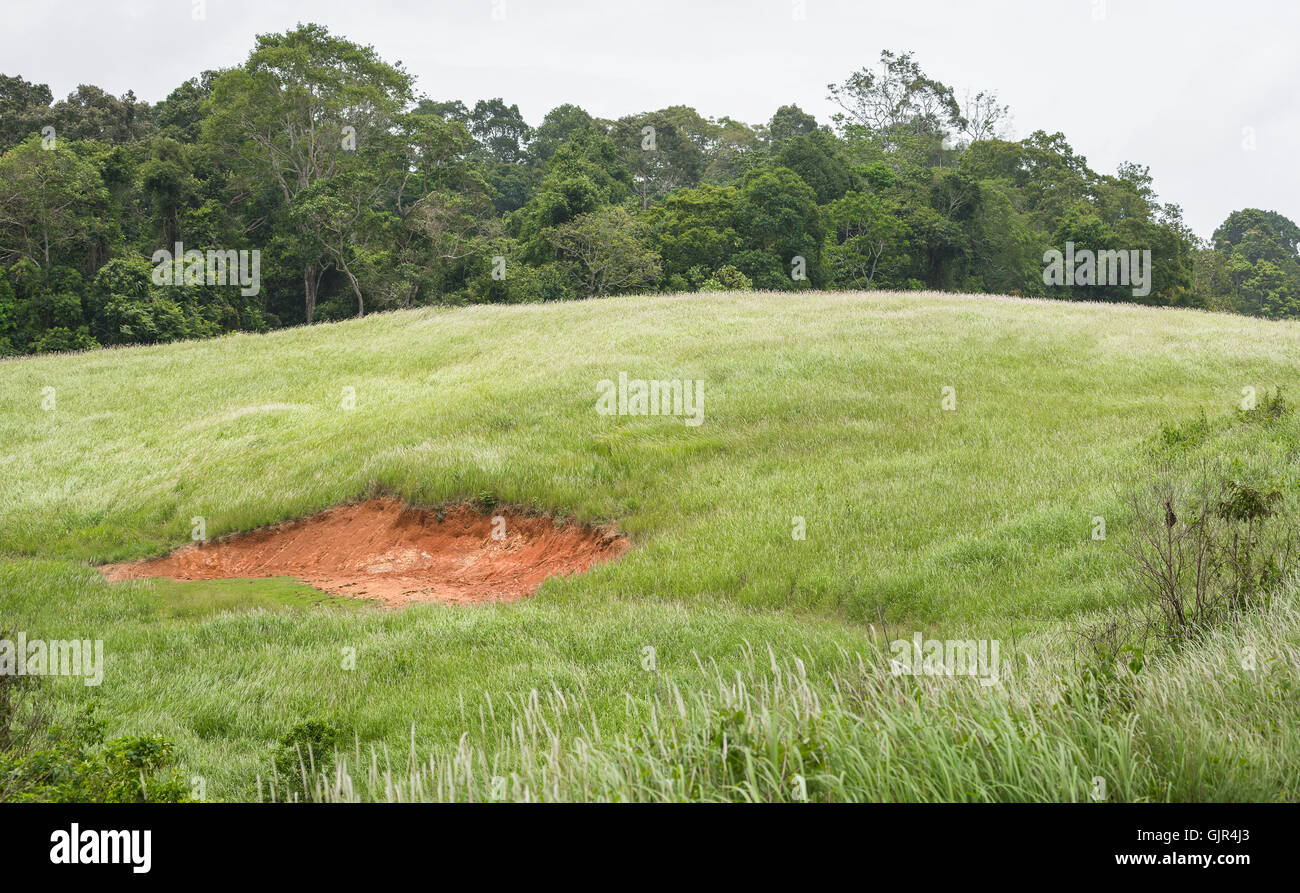 Mineral meal hi-res stock photography and images - Alamy