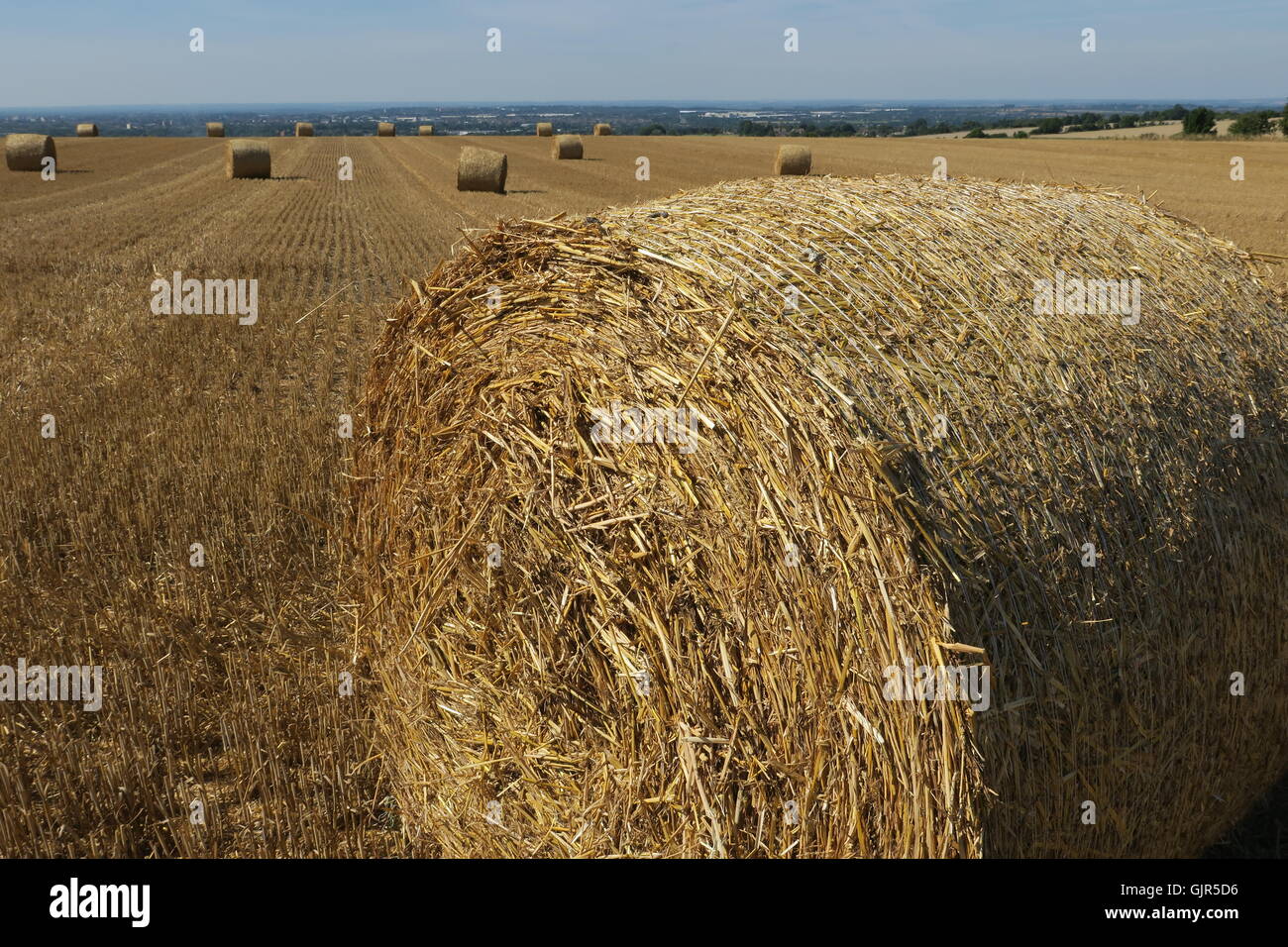 Scattered field High Resolution Stock Photography and Images - Alamy