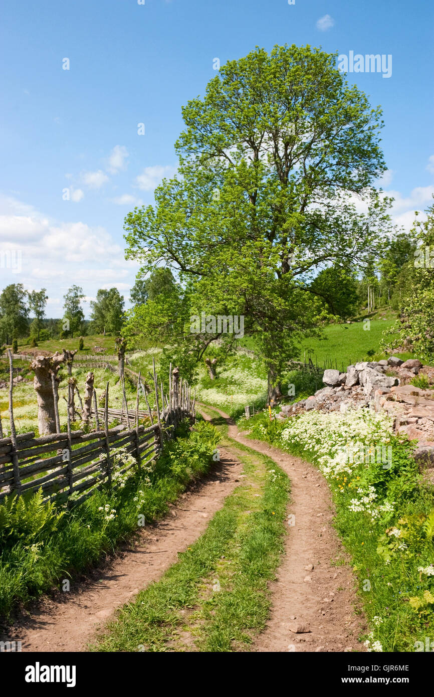 agriculture farming sweden Stock Photo - Alamy