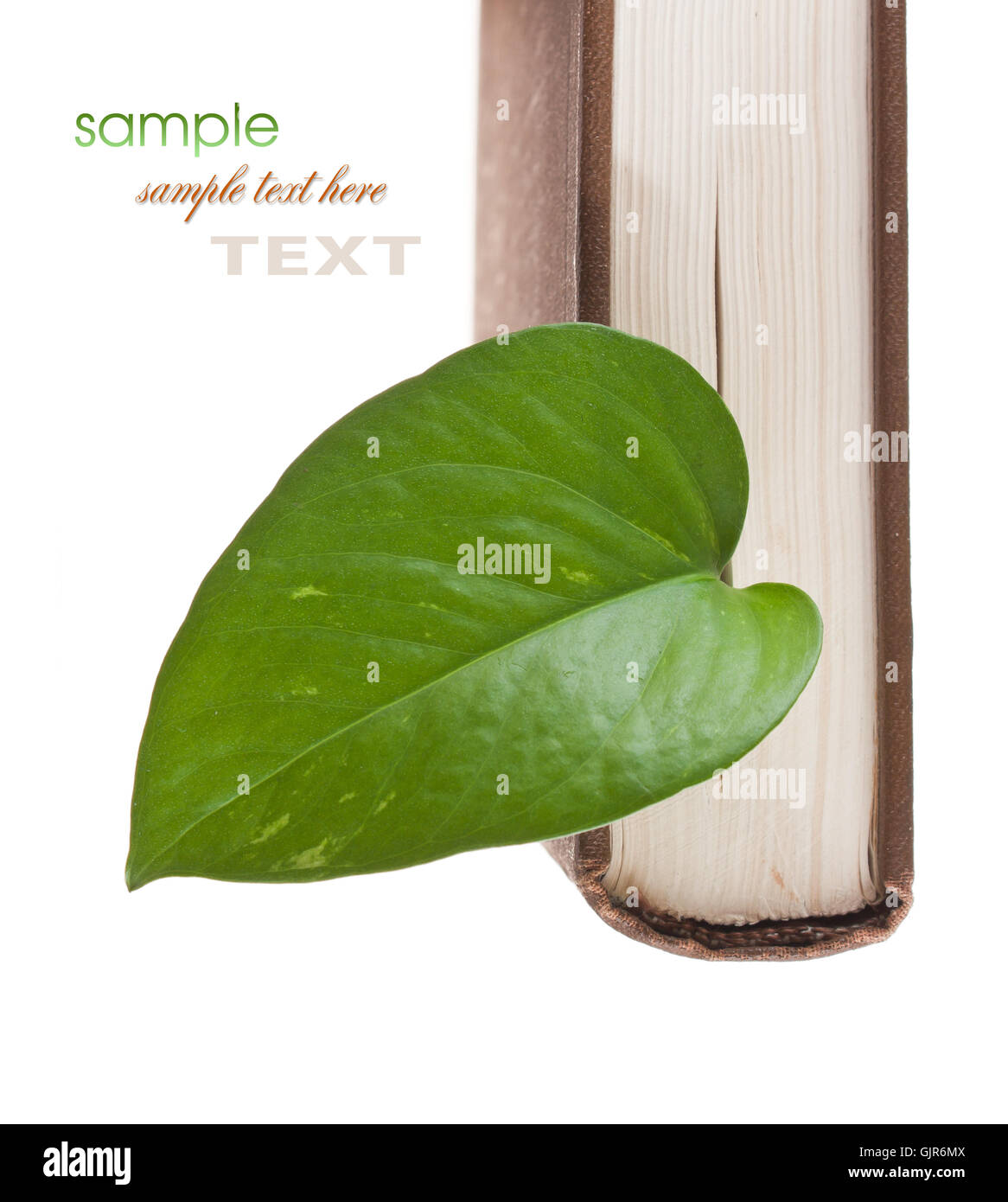 Old leaf book hi-res stock photography and images - Alamy