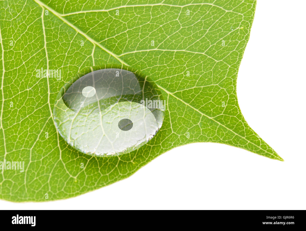 Yin yang symbol on water drop Stock Photo - Alamy