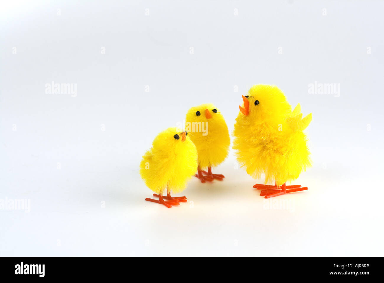 Yellow easter chicks Stock Photo - Alamy