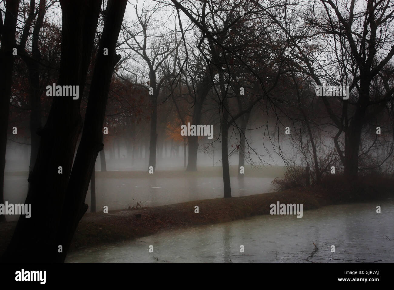 Morris chicken hi-res stock photography and images - Alamy