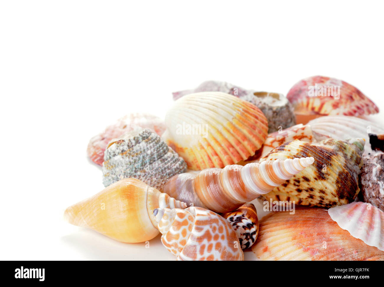 Calcium shells hi-res stock photography and images - Alamy