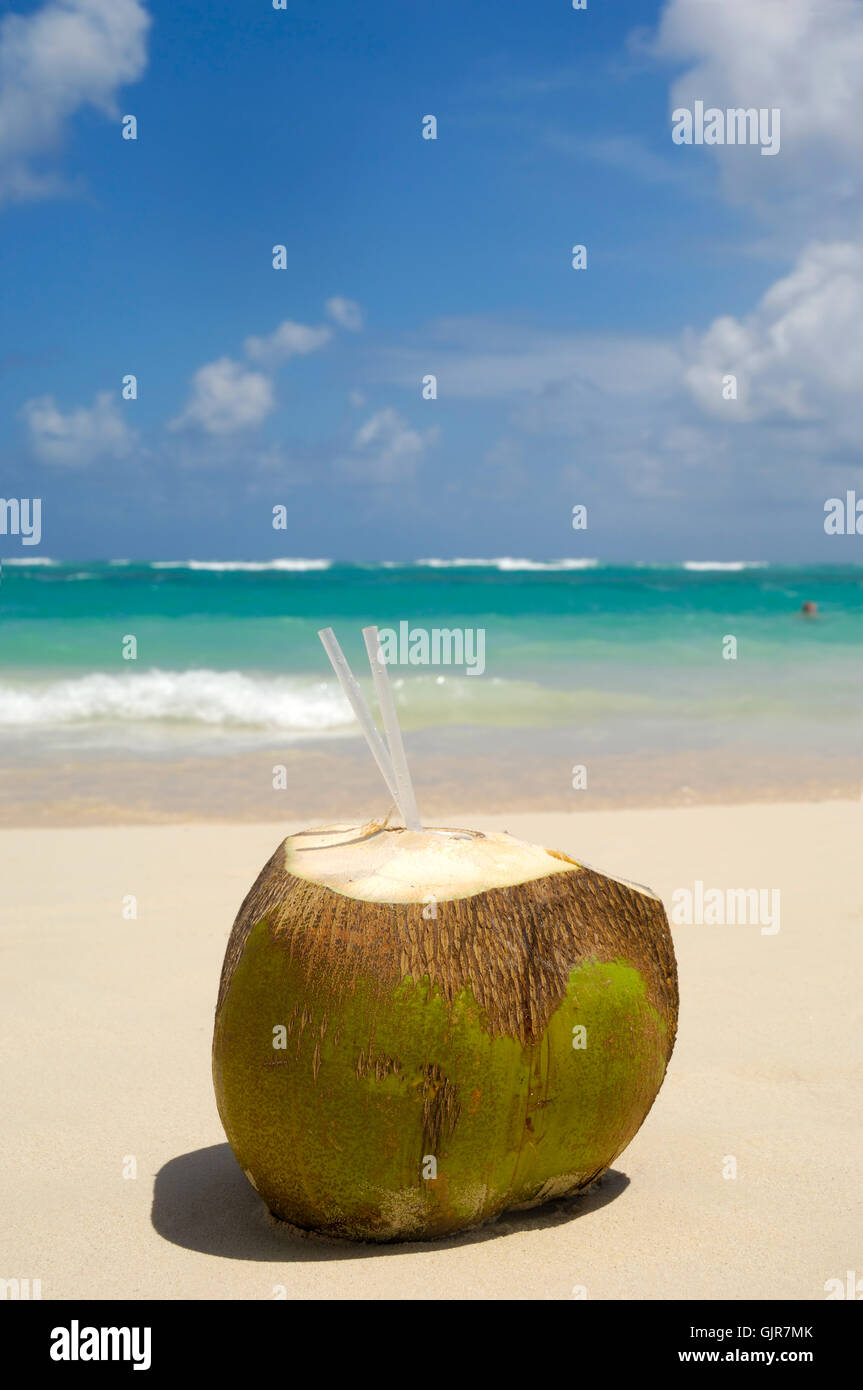 Exotic coconut cocktail hi-res stock photography and images - Alamy