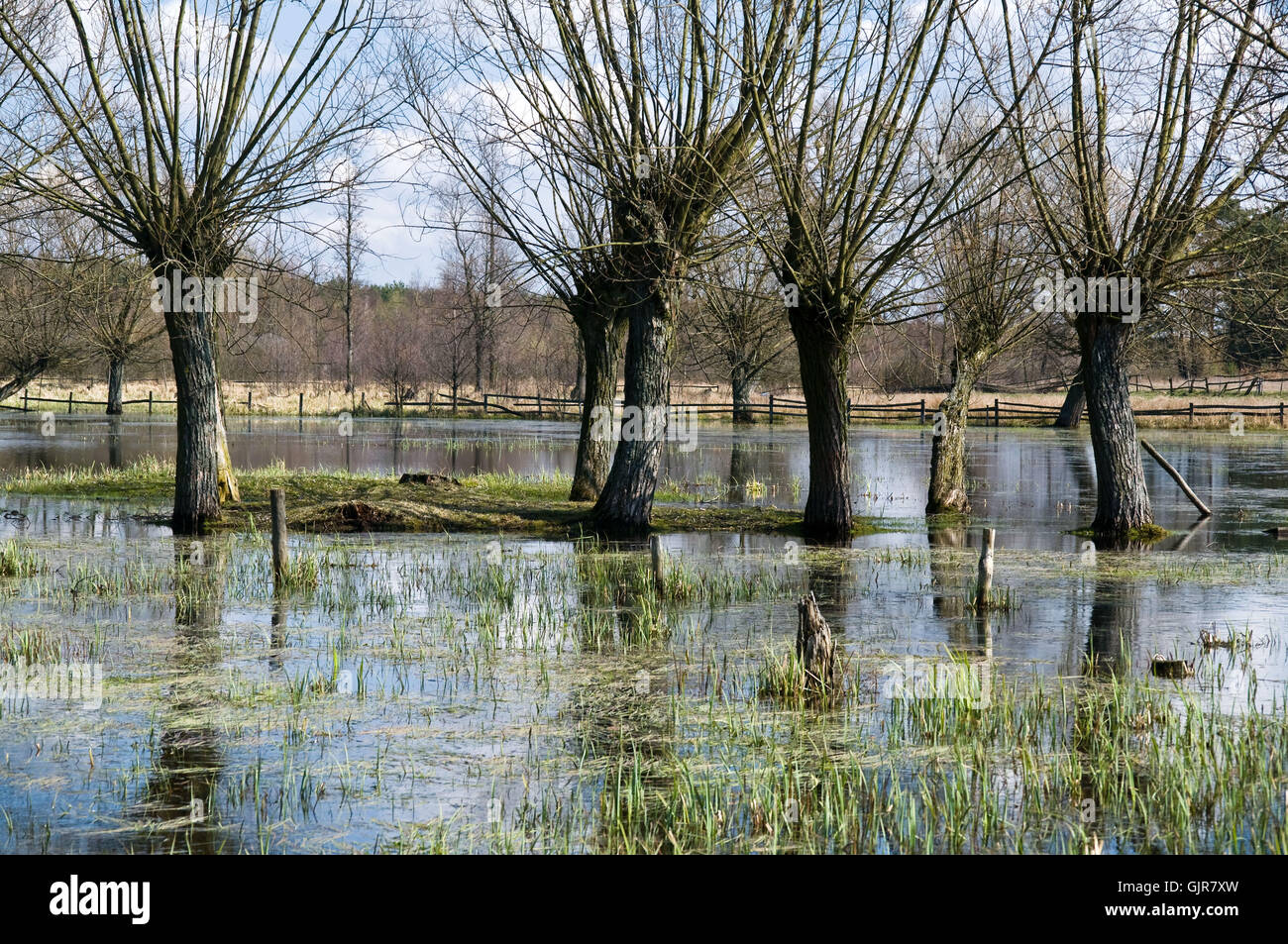 Location spring meadows hi-res stock photography and images - Alamy