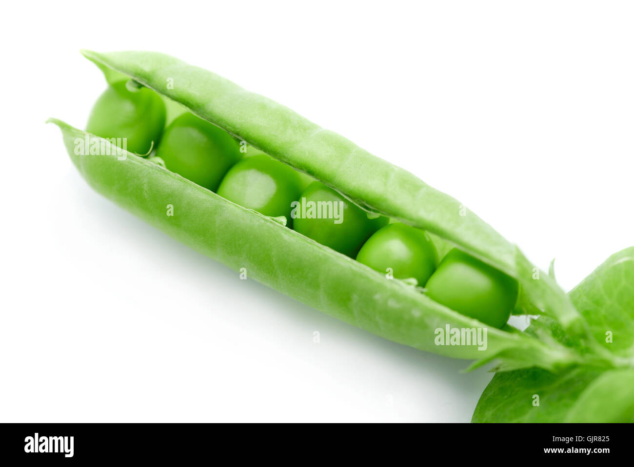 Vegetable seed pod hi-res stock photography and images - Alamy