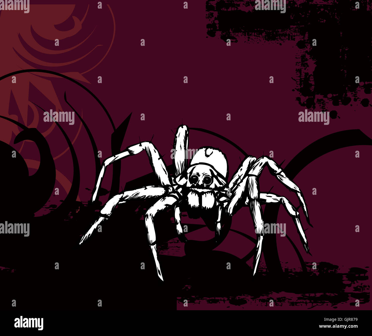Spider design inspiration hi-res stock photography and images - Alamy