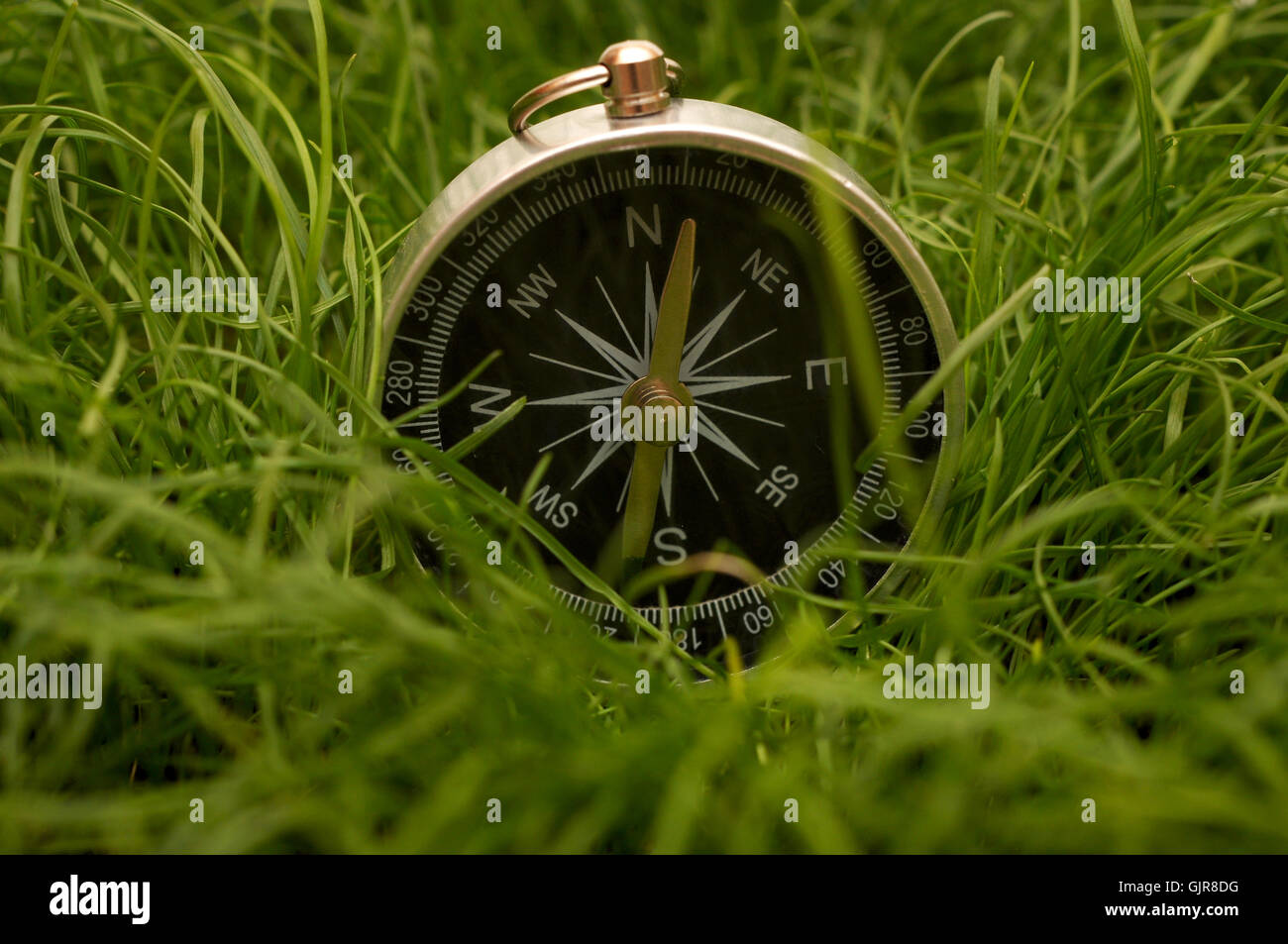 Green compass hi-res stock photography and images - Alamy