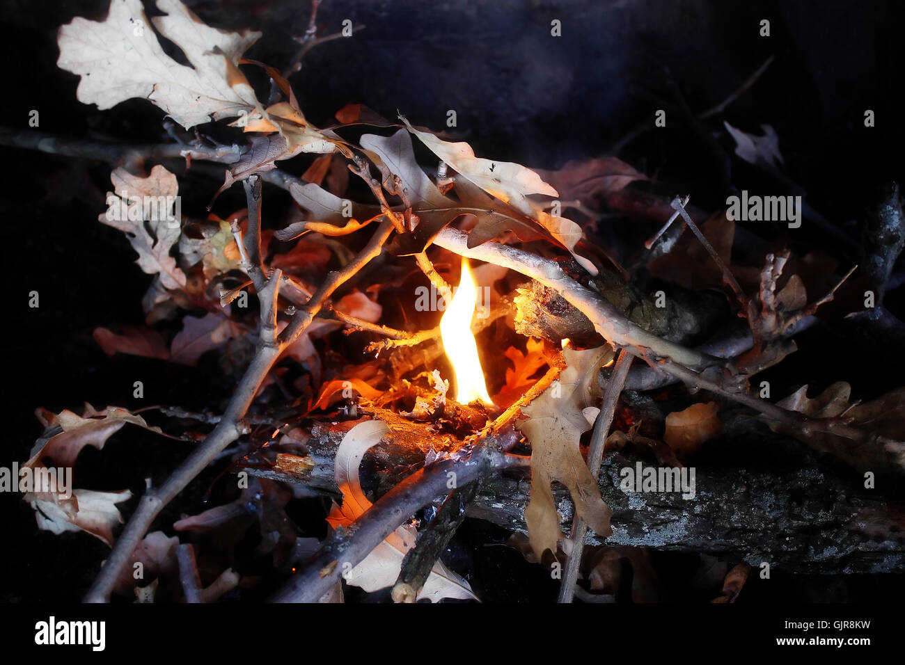 Bonfire night torch hi-res stock photography and images - Alamy