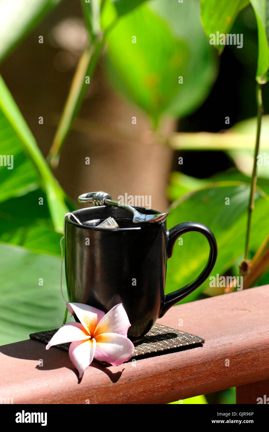 tea drink drinking Stock Photo - Alamy