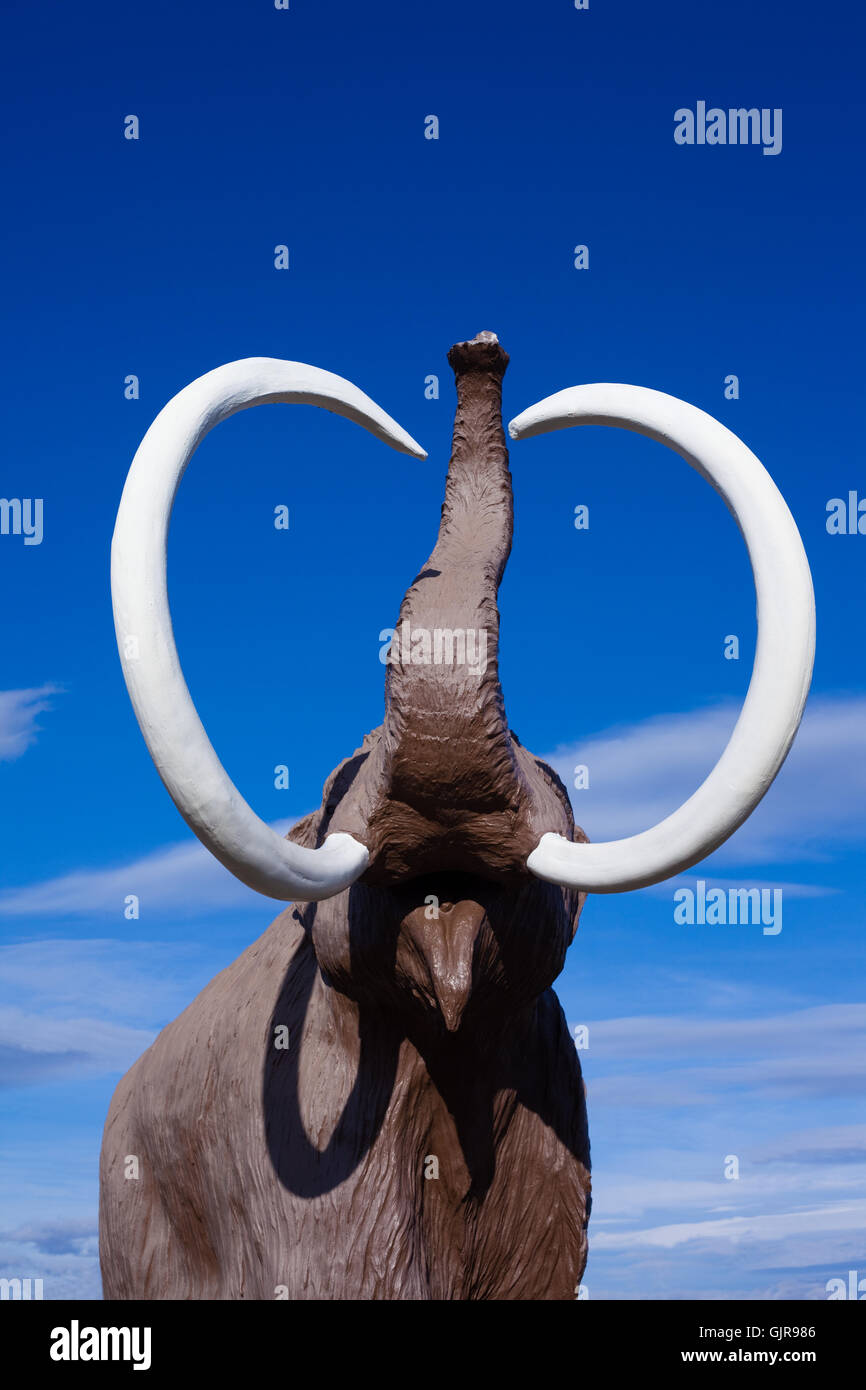 Mammoth mammuthus ice hi-res stock photography and images - Alamy