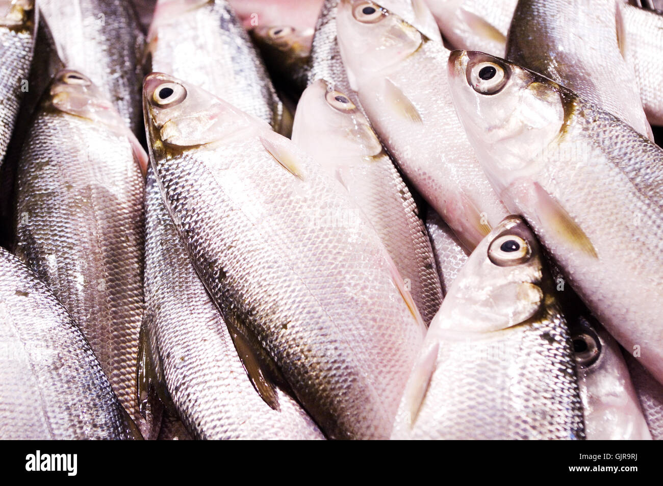 Fish milkfish hi-res stock photography and images - Alamy