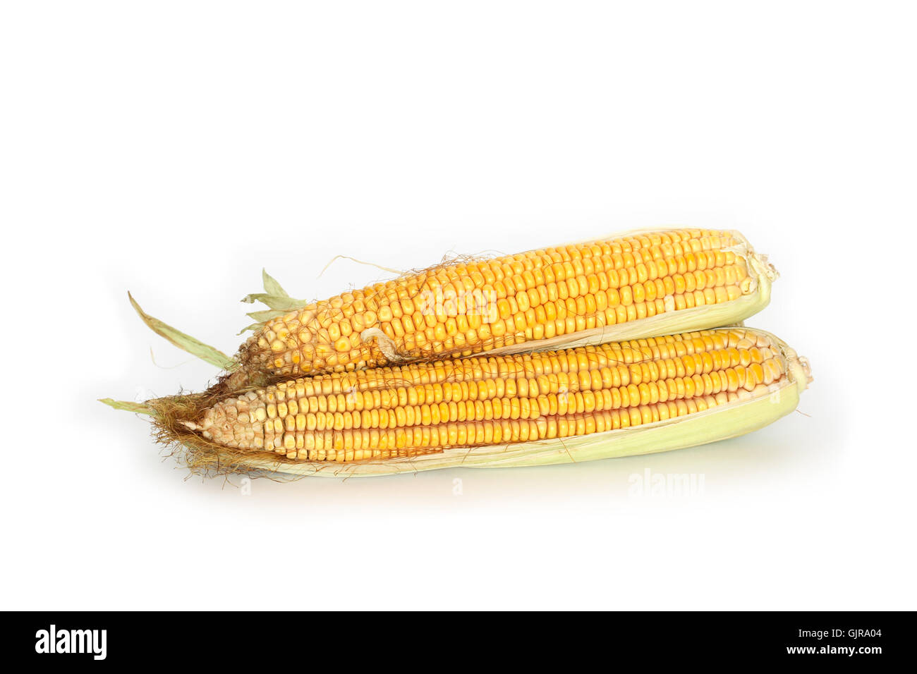 Indian food crop Cut Out Stock Images & Pictures - Alamy