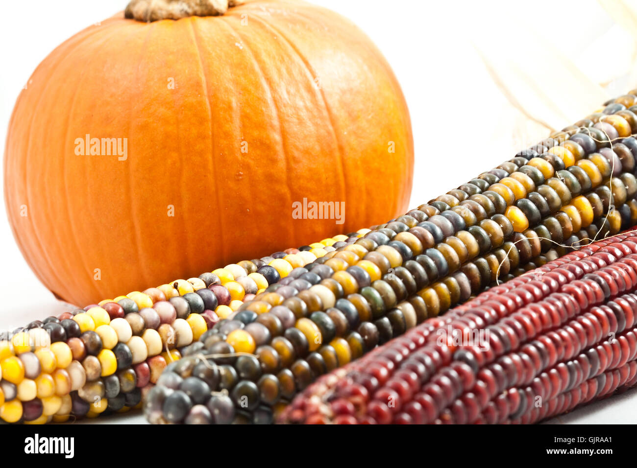 Pumpkin and Corn Stock Photo - Alamy