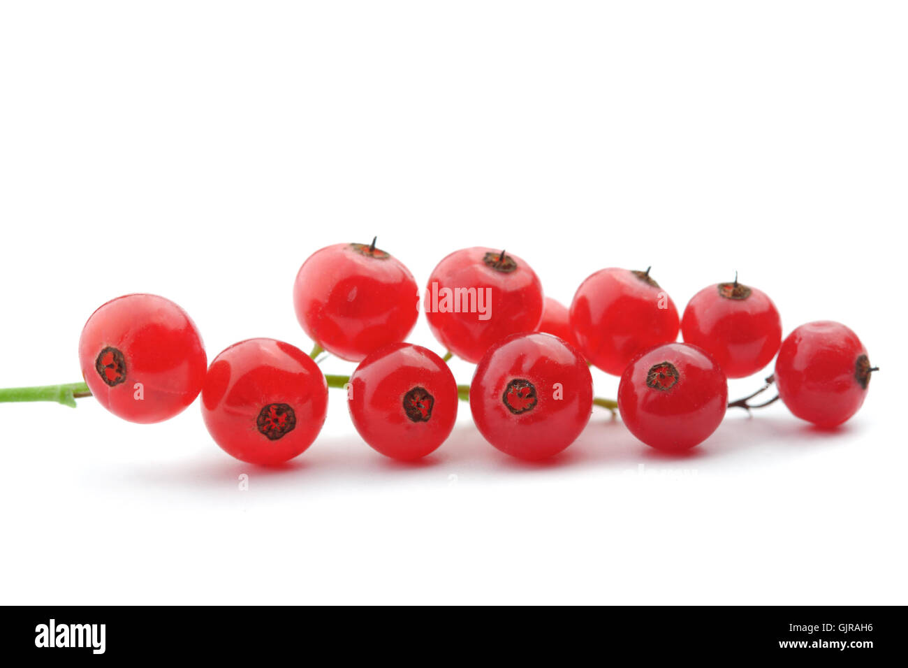 White currant bunch hi-res stock photography and images - Alamy