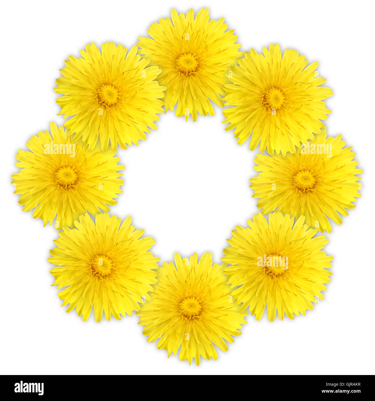 Flower frame wreath hi-res stock photography and images - Alamy