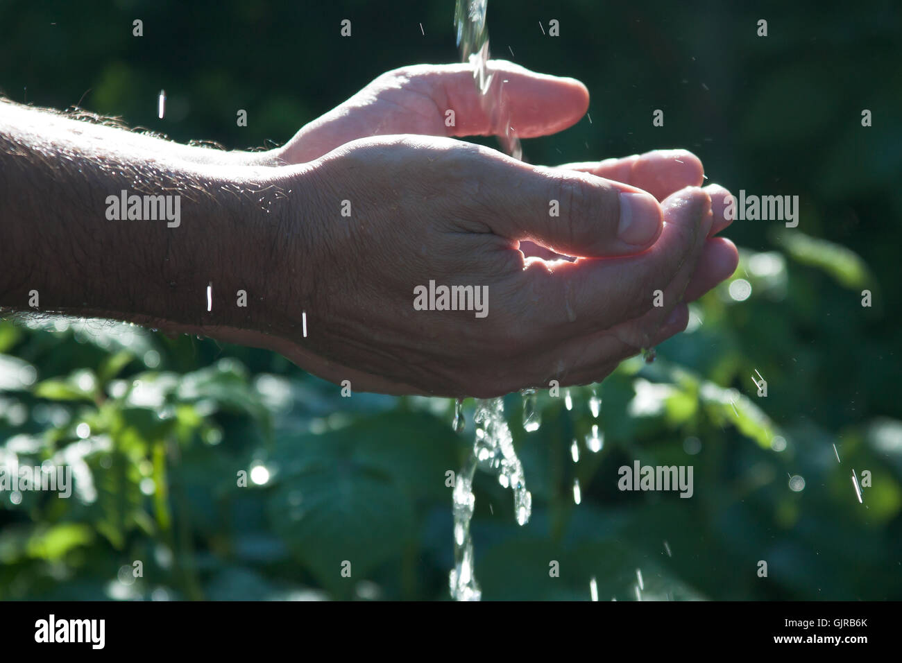 Hand washing in the summer of clean water Stock Photo - Alamy