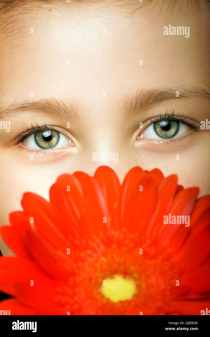 flower plant portrait Stock Photo - Alamy