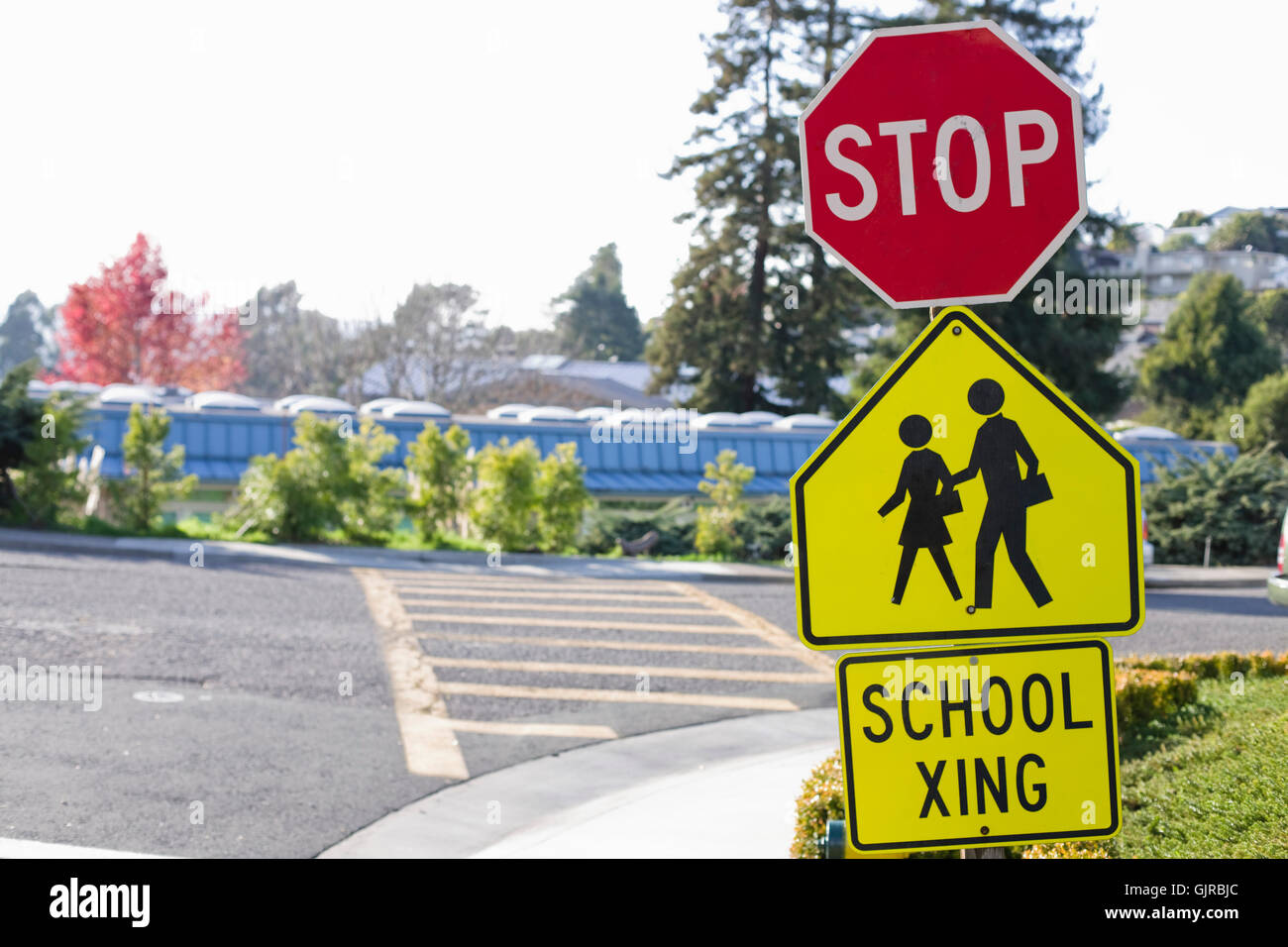School Crosswalk Signs Stock Photo - Alamy
