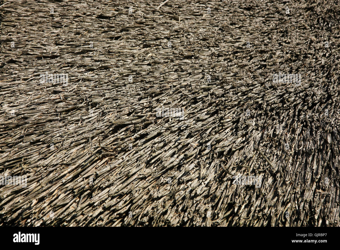 Thatch bundle hi-res stock photography and images - Alamy