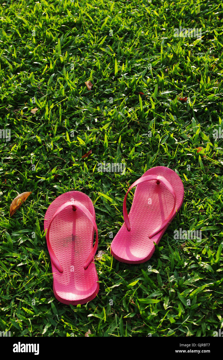 slippers on grass field Stock Photo - Alamy