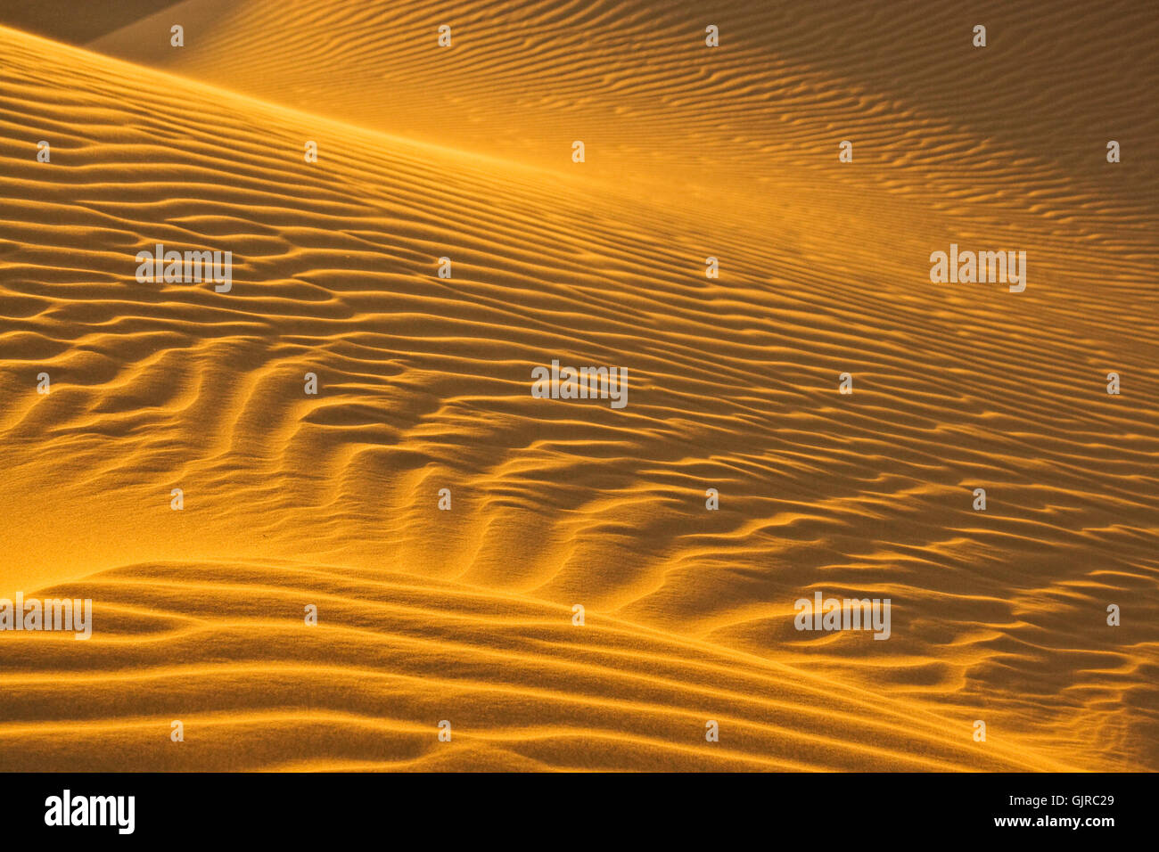 travel desert wasteland Stock Photo - Alamy