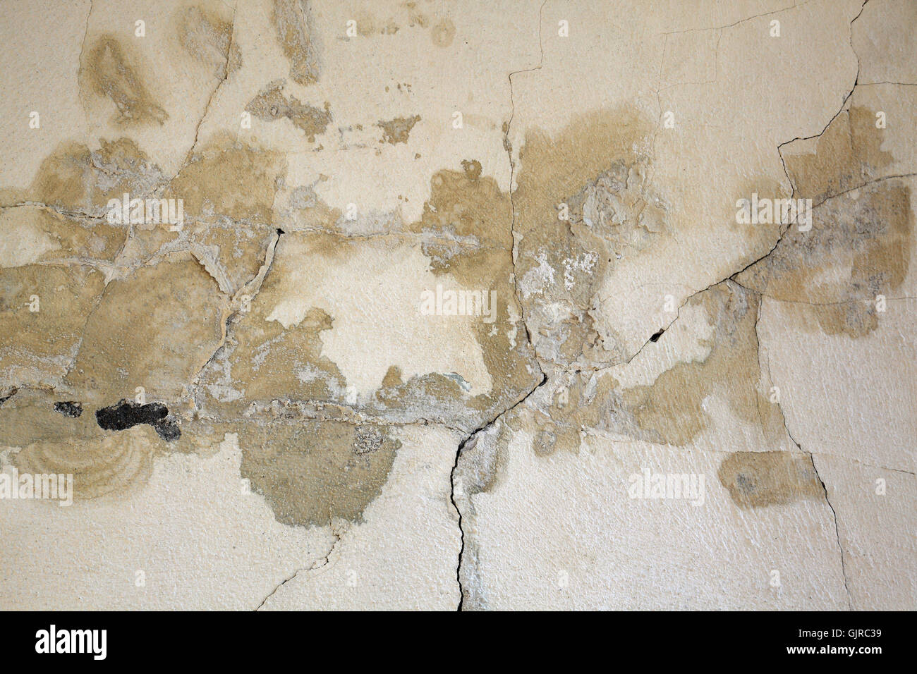 Fissured hi-res stock photography and images - Alamy