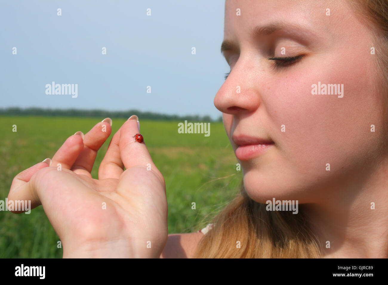 Girl holding ladybug hi-res stock photography and images - Alamy