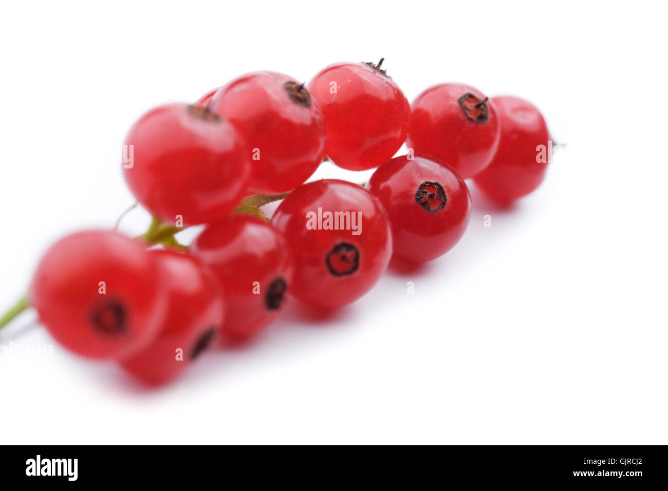 Red white currant sour Cut Out Stock Images & Pictures - Alamy