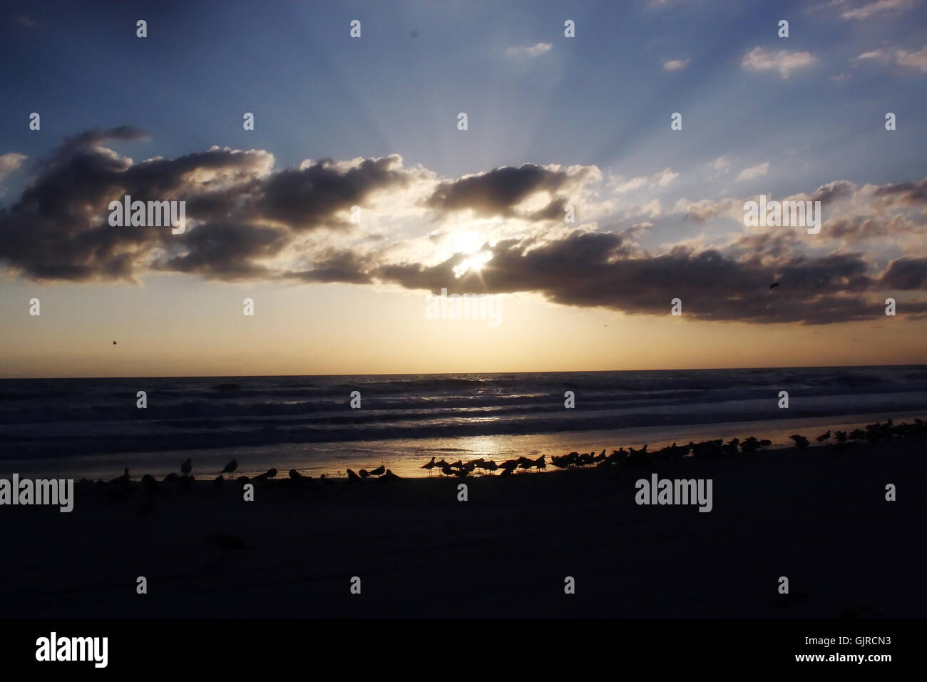 Daytona at sunrise hi-res stock photography and images - Alamy
