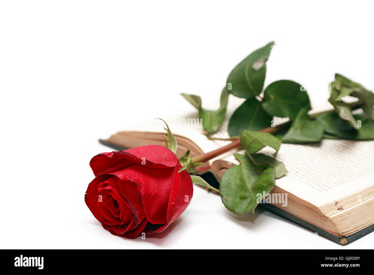 Rose On Book Stock Photo - Alamy