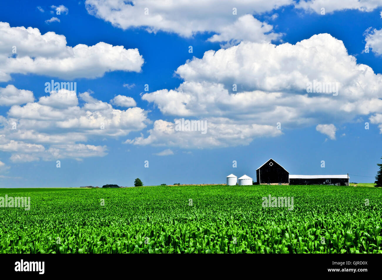 agriculture farming field Stock Photo - Alamy