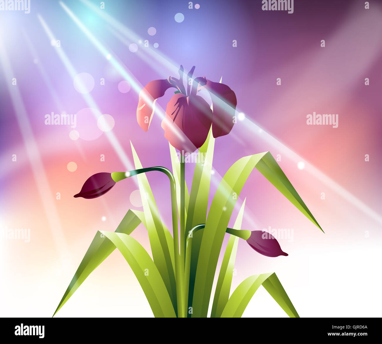 Effective Colored Background35 Stock Photo - Alamy