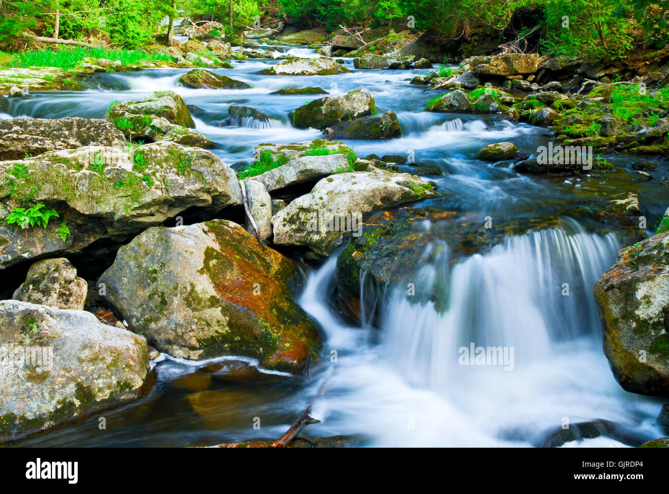 stream woods rapids Stock Photo - Alamy