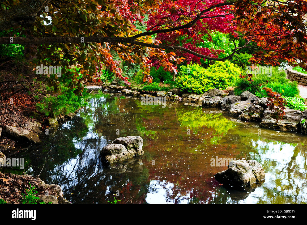 Garden tree trees hi-res stock photography and images - Alamy