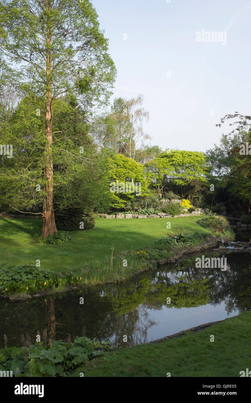 Spring morning in London's Hyde Park Stock Photo - Alamy