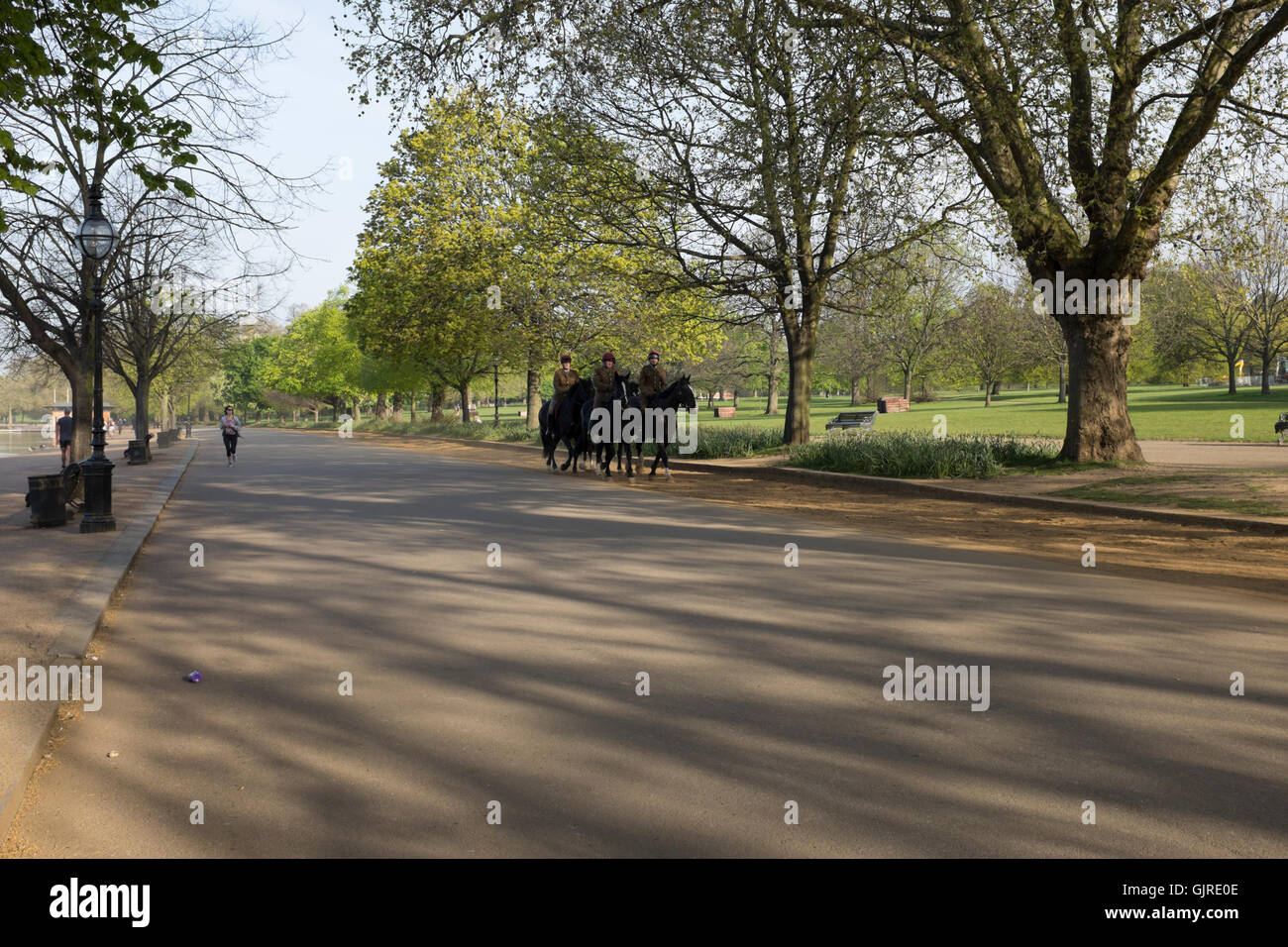 Spring morning in London's Hyde Park Stock Photo - Alamy
