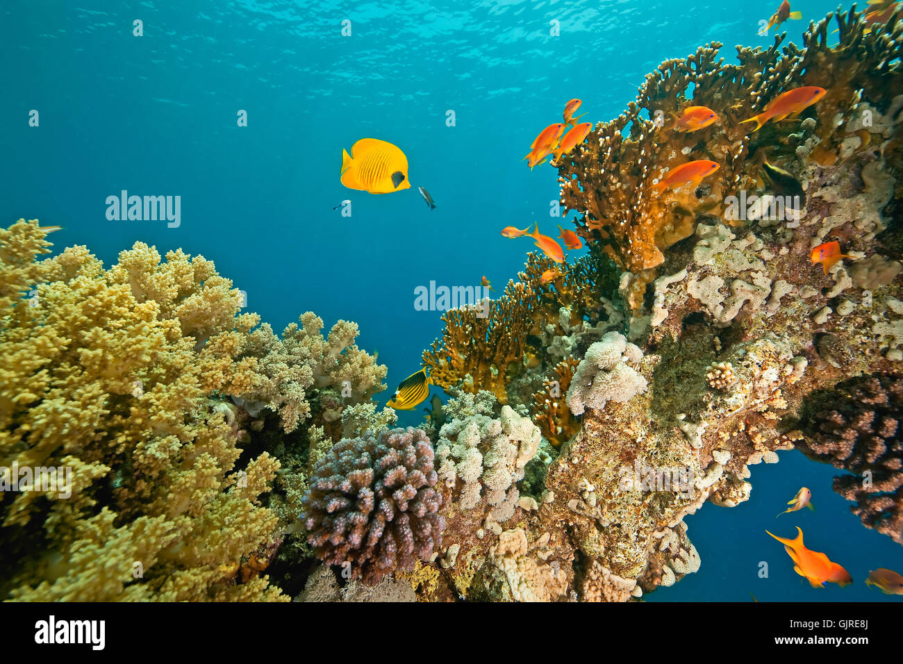 Navy marine hi-res stock photography and images - Alamy