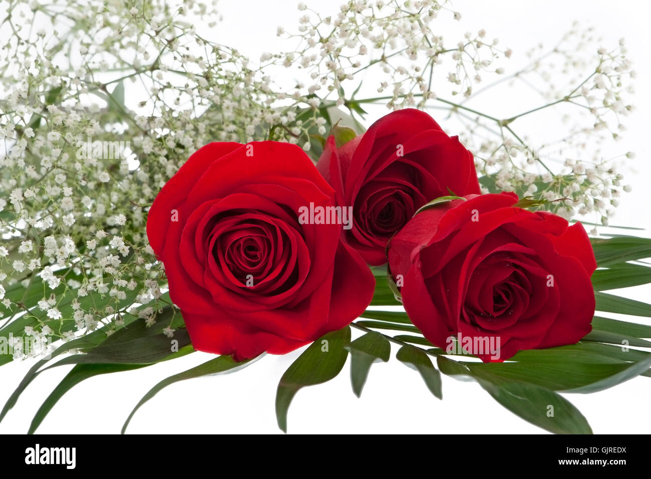 bunch of roses Stock Photo - Alamy